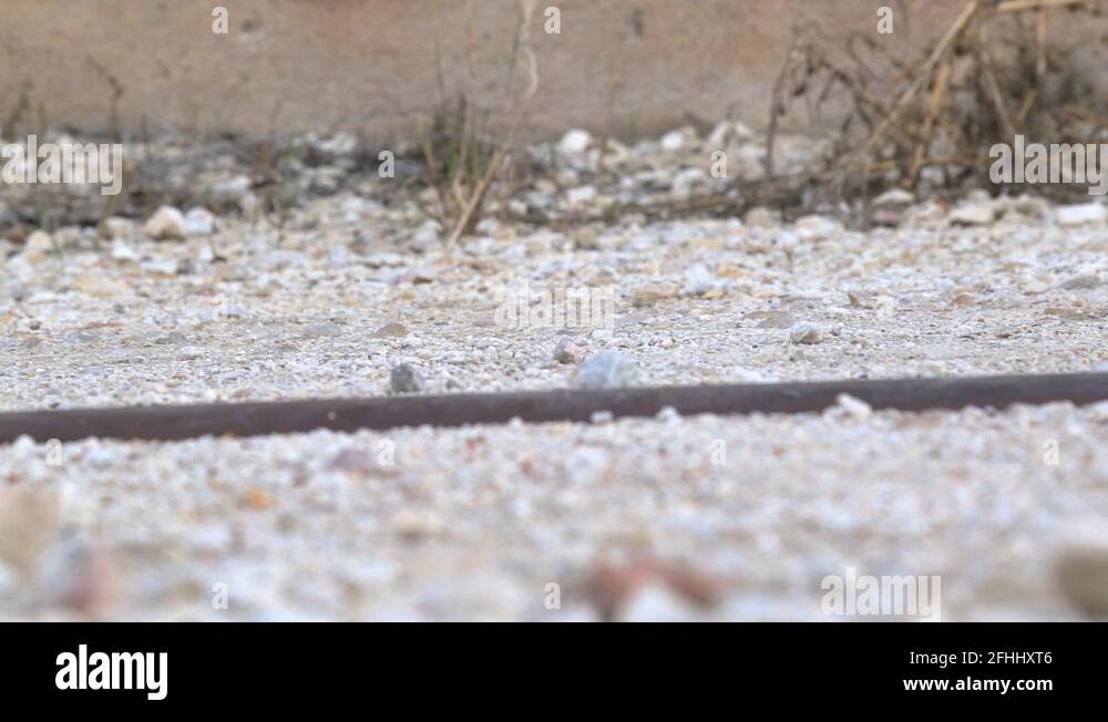 Walk into frame Stock Videos & Footage - HD and 4K Video Clips - Alamy
