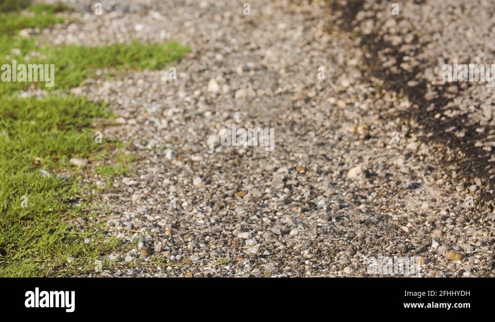 Roadside greenery Stock Videos & Footage - HD and 4K Video Clips - Alamy