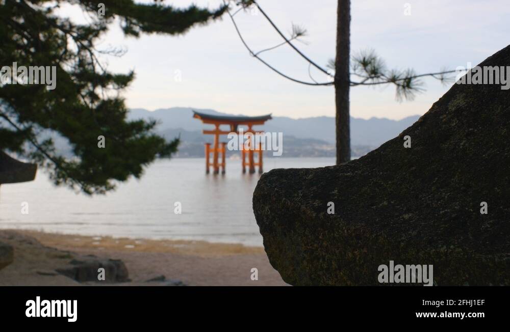 Itsukushima floating torii gate in water Stock Videos & Footage - HD ...