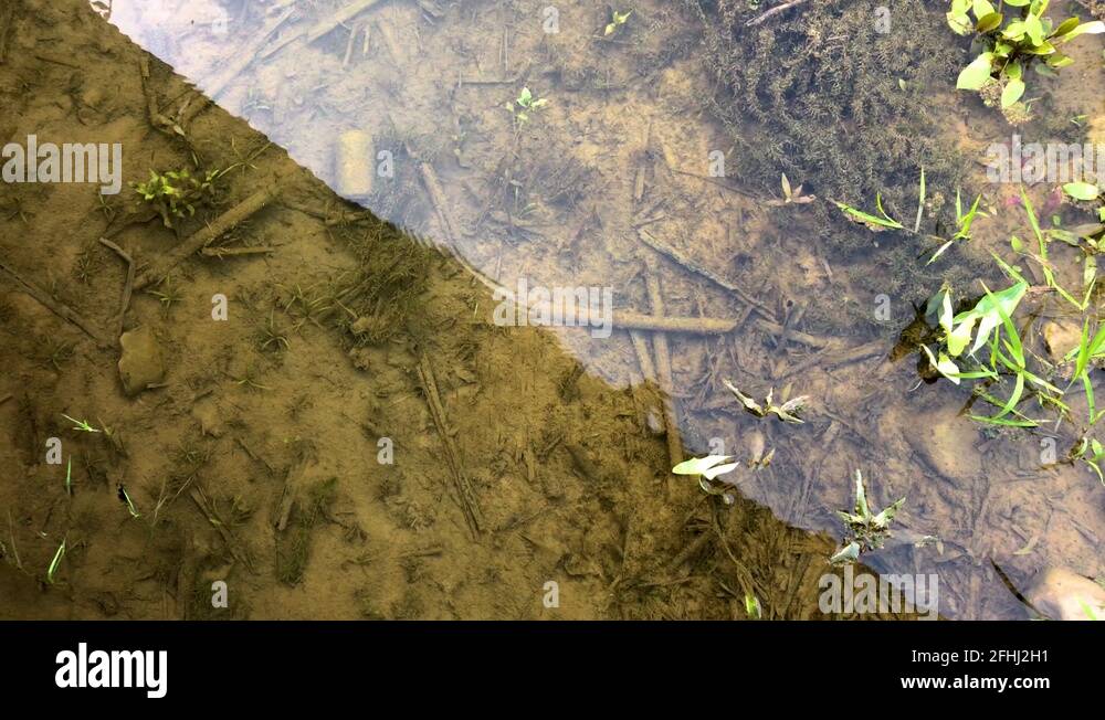 Very shallow water Stock Videos & Footage - HD and 4K Video Clips - Alamy