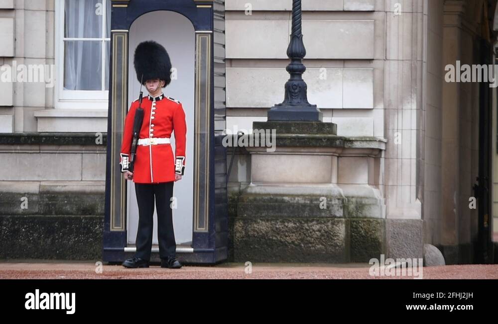 Queen's Guard Guarding the Queen's Residence of Buckingham Palace in ...