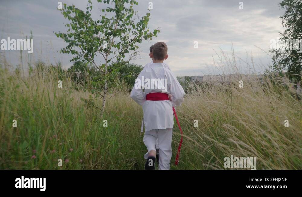 Karate outside Stock Videos & Footage - HD and 4K Video Clips - Alamy