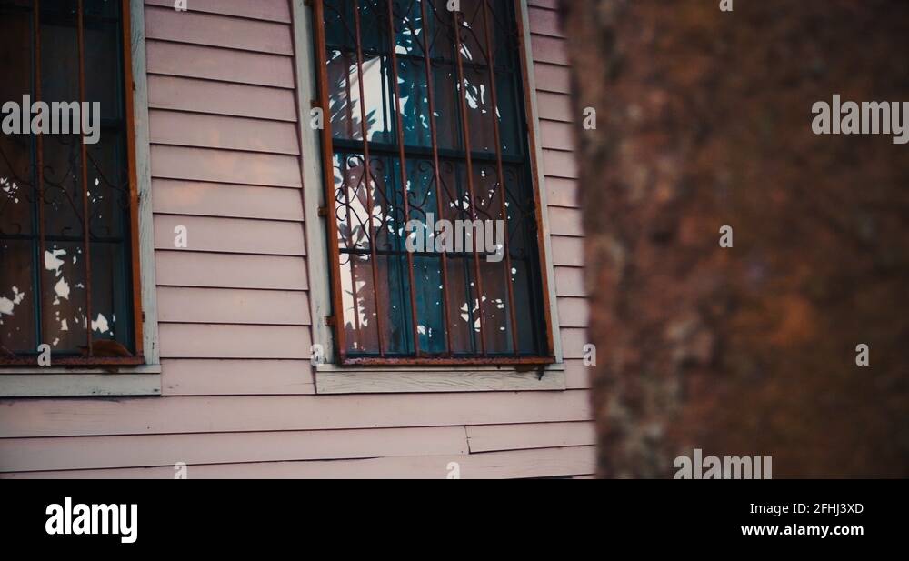 Creep around tree to abandoned house window Stock Video Footage - Alamy