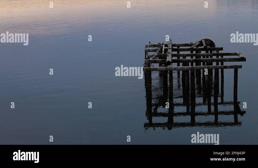 Submerged structure Stock Videos & Footage - HD and 4K Video Clips - Alamy