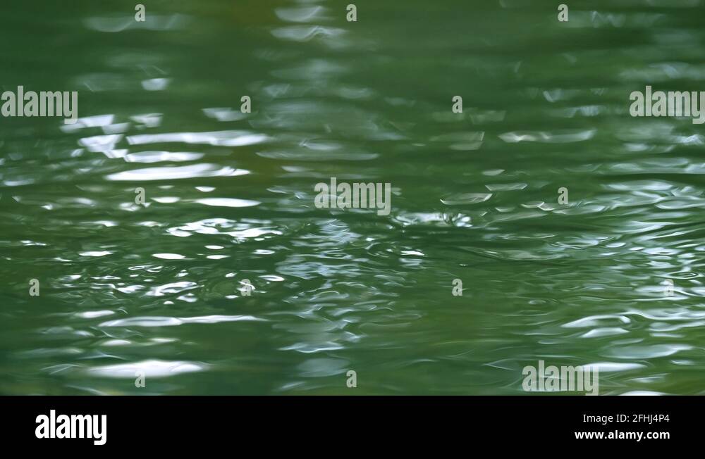 Eddy water Stock Videos & Footage - HD and 4K Video Clips - Alamy