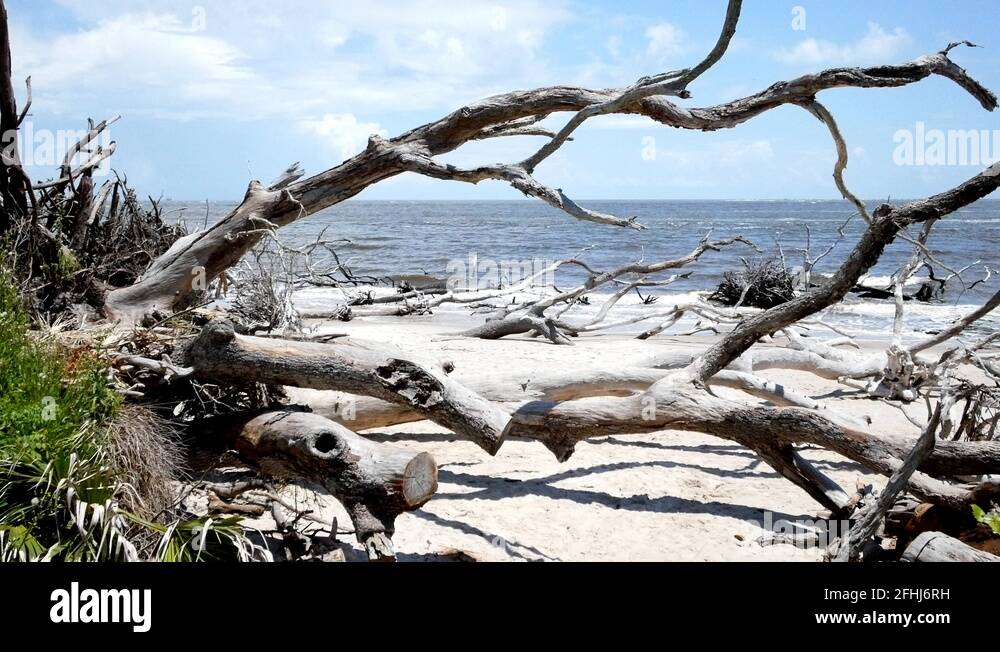 Dead ocean Stock Videos & Footage - HD and 4K Video Clips - Alamy