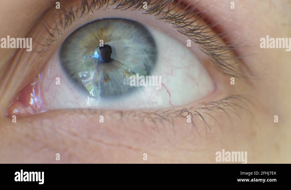 Blue eyeball Stock Videos & Footage - HD and 4K Video Clips - Alamy