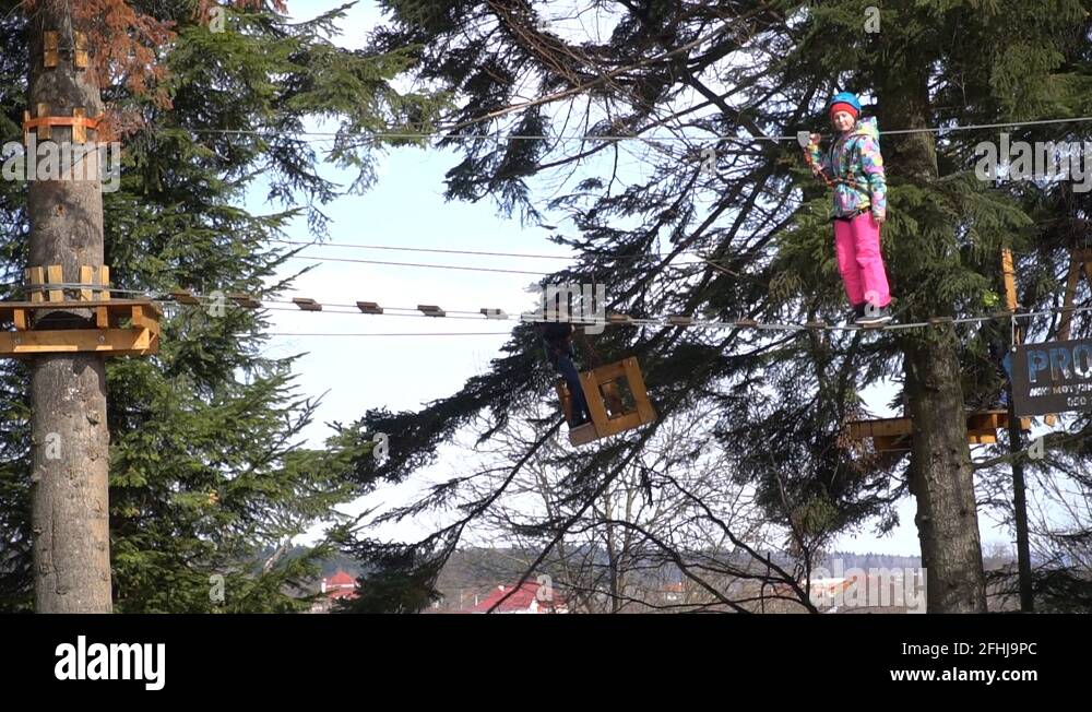 Children climbing trees Stock Videos & Footage - HD and 4K Video Clips ...