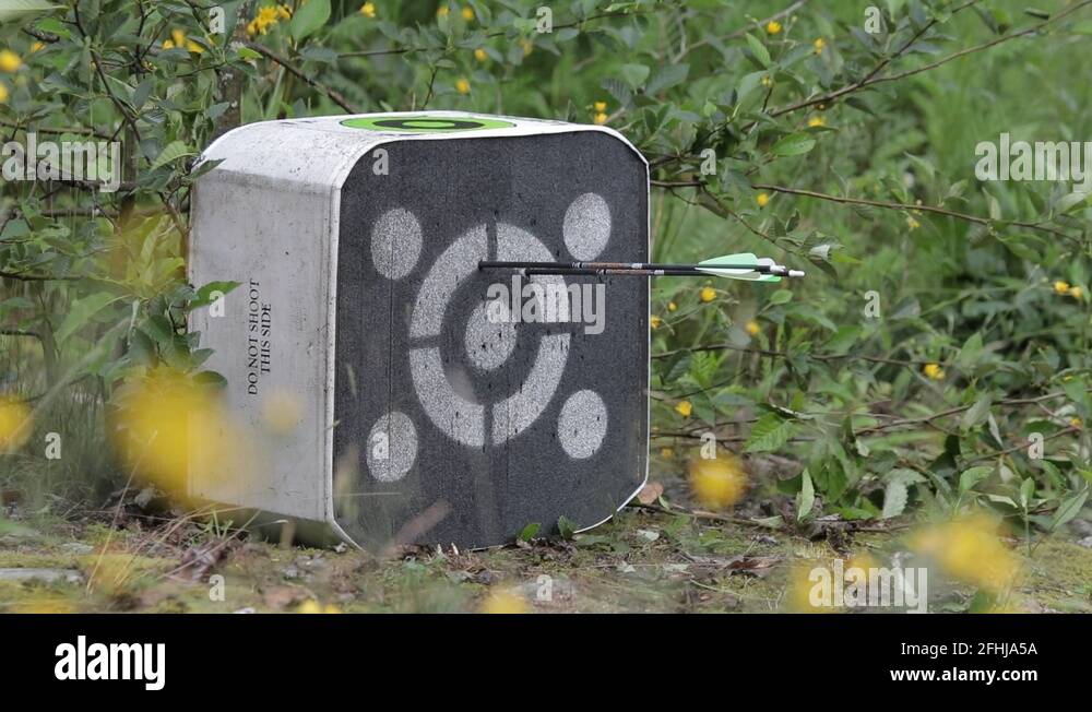 Shot arrows Stock Videos & Footage - HD and 4K Video Clips - Alamy