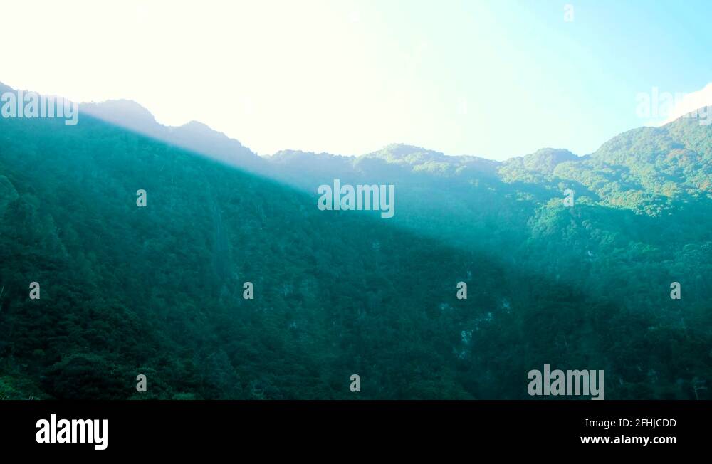 Path towards light Stock Videos & Footage - HD and 4K Video Clips - Alamy