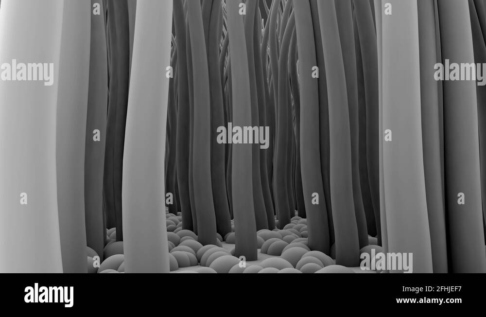 Ciliated cell Stock Videos & Footage - HD and 4K Video Clips - Alamy
