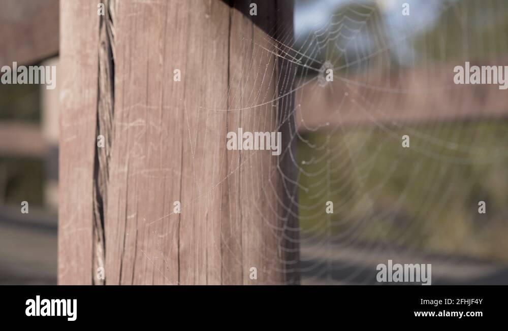 Depth spider Stock Videos & Footage - HD and 4K Video Clips - Alamy