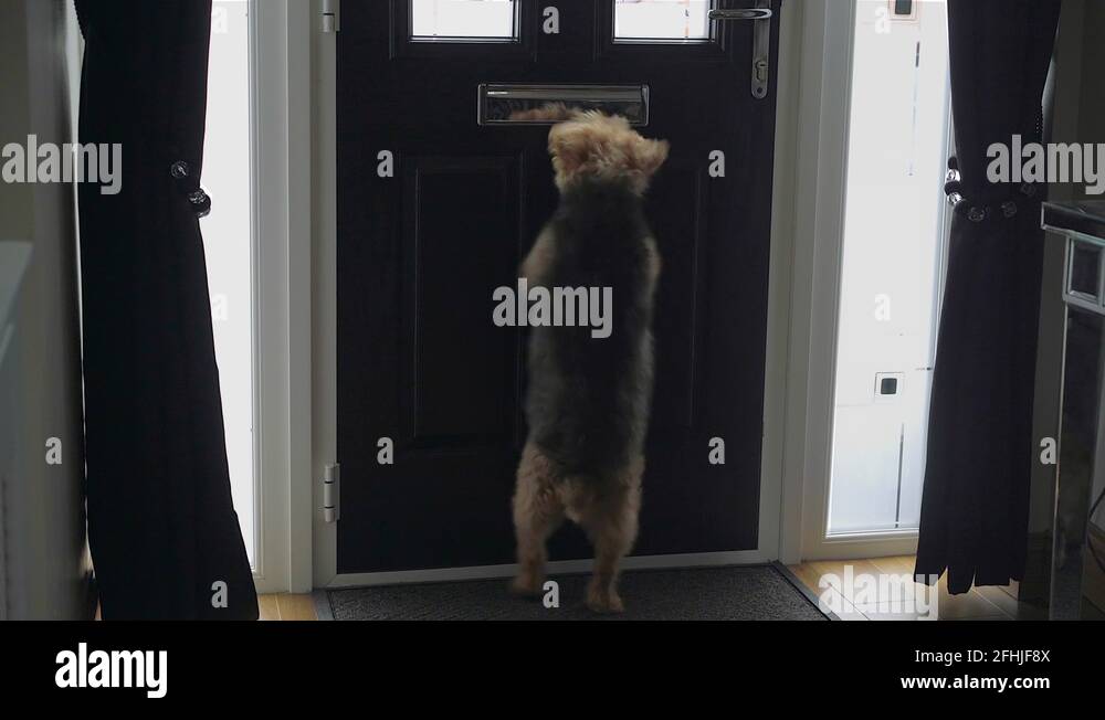 Domestic letterbox Stock Videos & Footage - HD and 4K Video Clips - Alamy