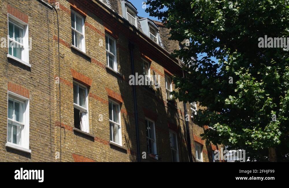 Shadow of trees on house Stock Videos & Footage - HD and 4K Video Clips ...