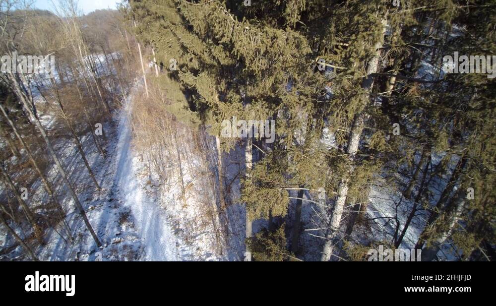 drone flying up topshot a pine wood forest in the winter Stock Video Footage - Alamy