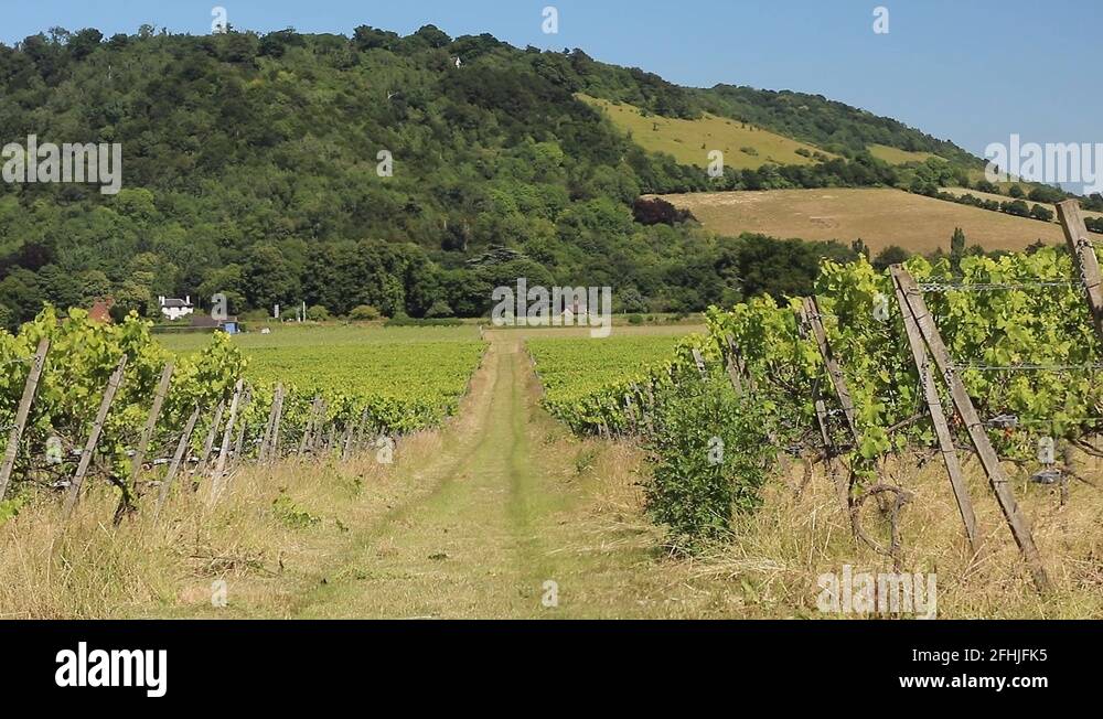 Countryside beauty spot Stock Videos & Footage - HD and 4K Video Clips ...