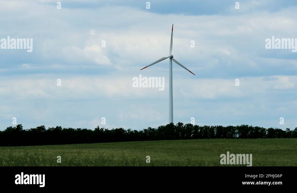 Power of trees Stock Videos & Footage - HD and 4K Video Clips - Alamy