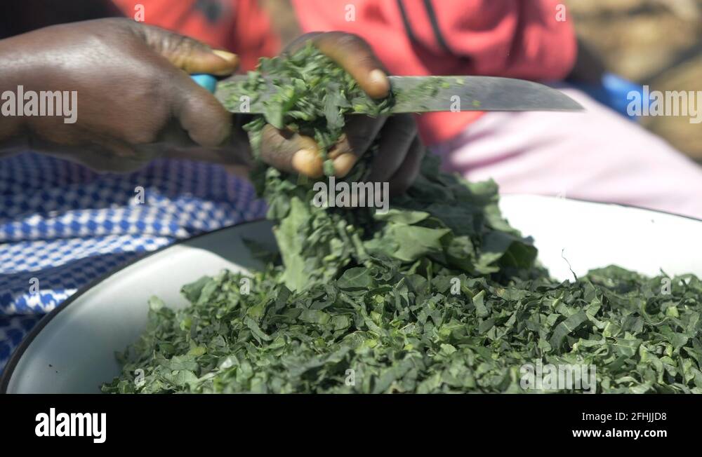 Planting a cutting Stock Videos & Footage - HD and 4K Video Clips - Alamy