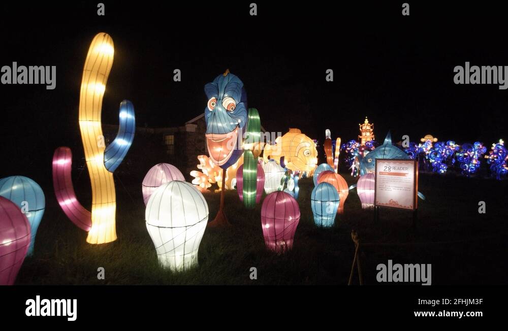 Finding nemo dory Stock Videos & Footage - HD and 4K Video Clips - Alamy