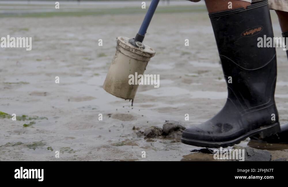 Home made prawn pump Stock Videos & Footage - HD and 4K Video Clips - Alamy