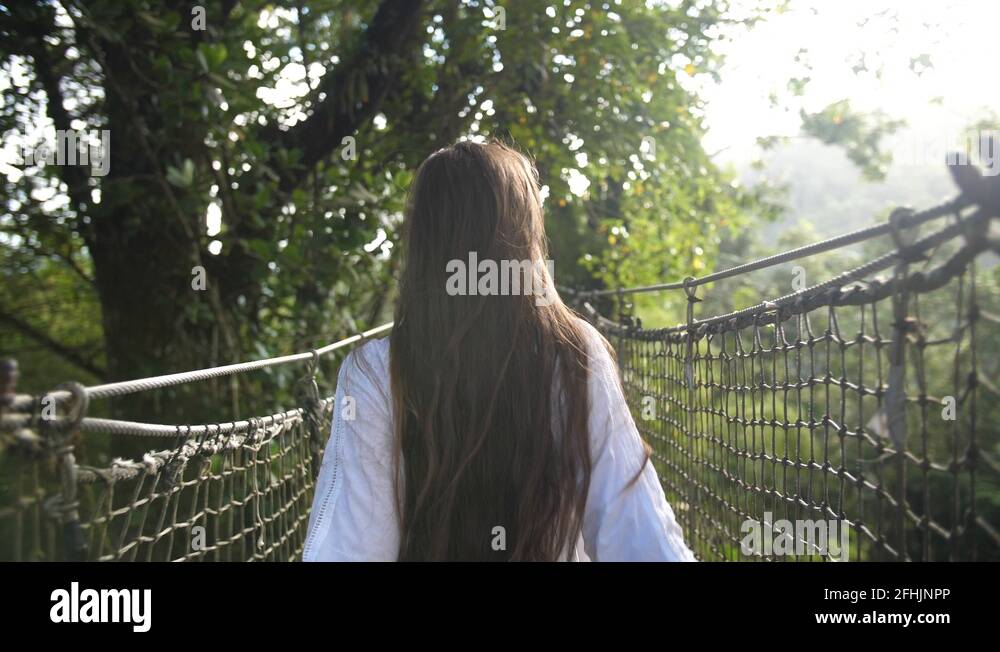 Tree top walking Stock Videos & Footage - HD and 4K Video Clips - Alamy