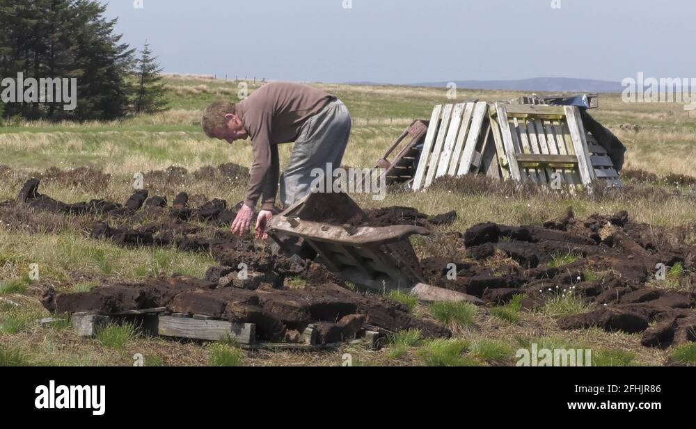 Bog peat moss Stock Videos & Footage - HD and 4K Video Clips - Alamy