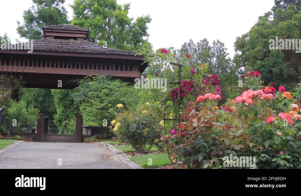 Shade structure Stock Videos & Footage - HD and 4K Video Clips - Alamy