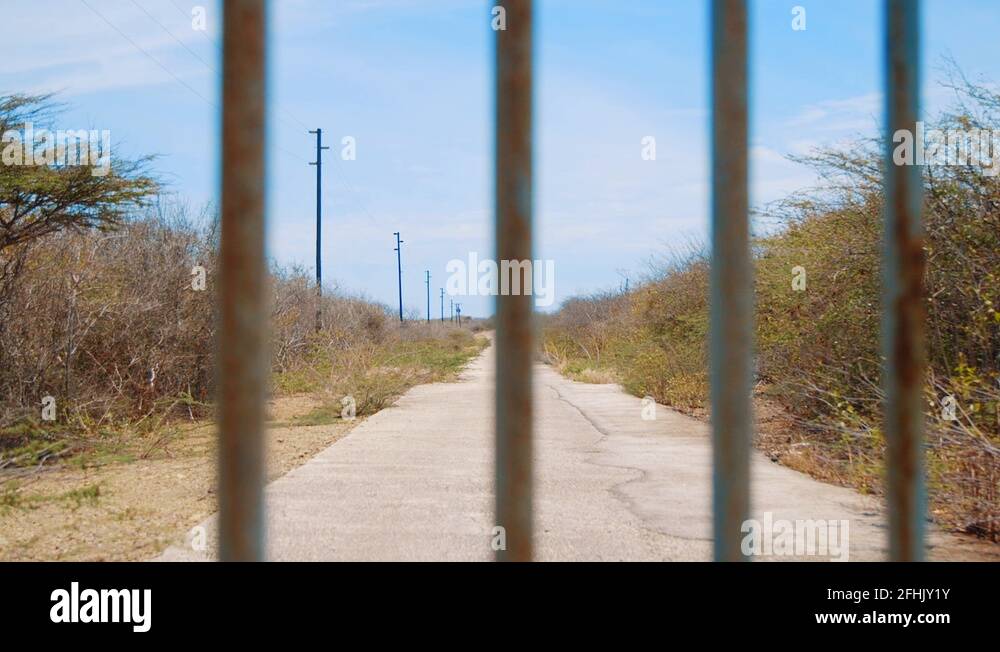 Greenery behind the metal bars Stock Videos & Footage - HD and 4K Video ...