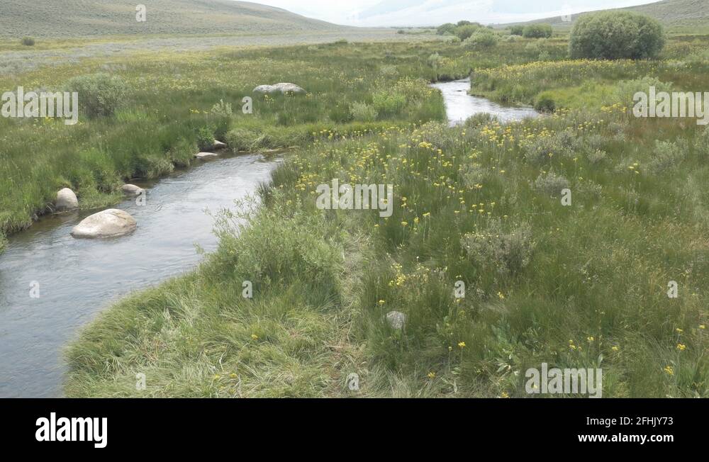 Copper basin Stock Videos & Footage - HD and 4K Video Clips - Alamy