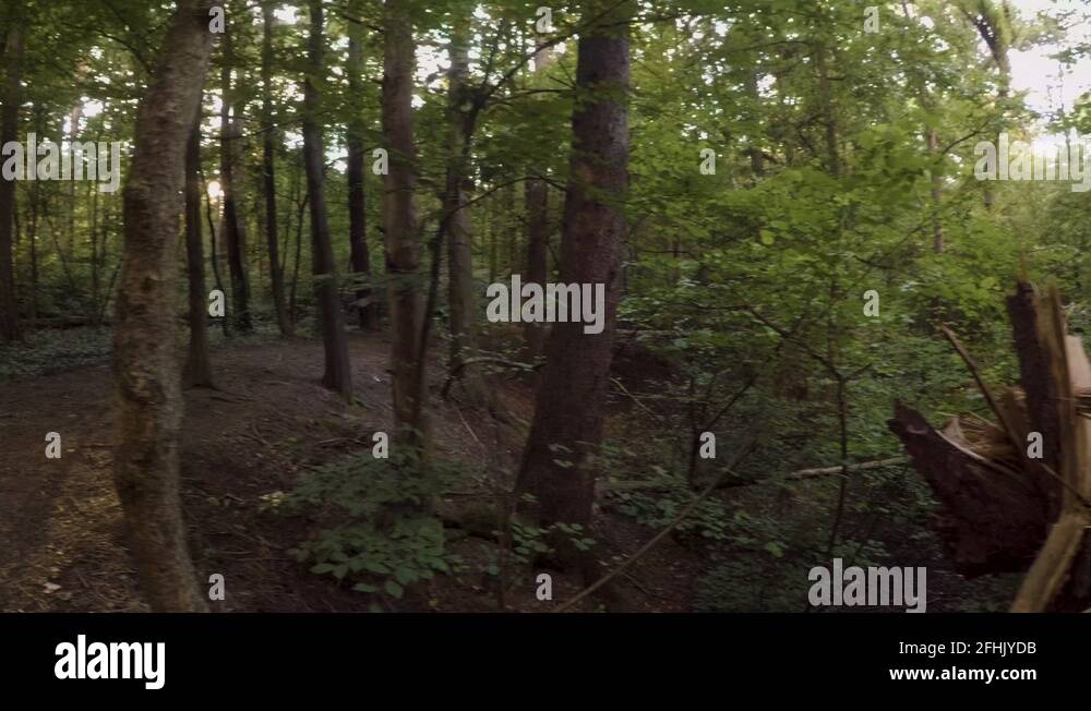 Broken ecosystem Stock Videos & Footage - HD and 4K Video Clips - Alamy