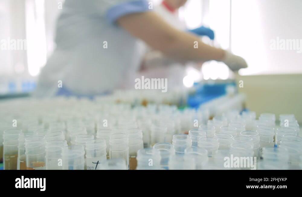 Two medical workers are sorting tubes with substances Stock Video ...