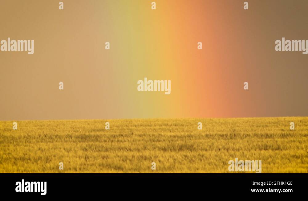 Windswept sky Stock Videos & Footage - HD and 4K Video Clips - Alamy