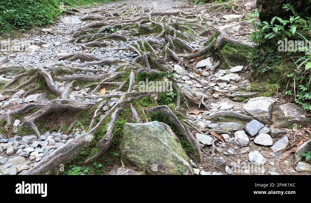 Treacherous Stock Videos & Footage - HD and 4K Video Clips - Alamy