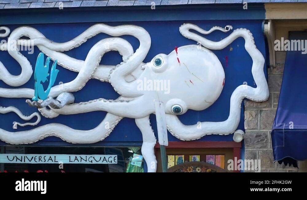 Octopus sign Stock Videos & Footage - HD and 4K Video Clips - Alamy