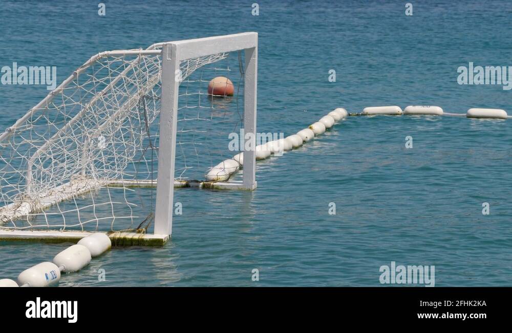 Sea game swimmer Stock Videos & Footage - HD and 4K Video Clips - Alamy