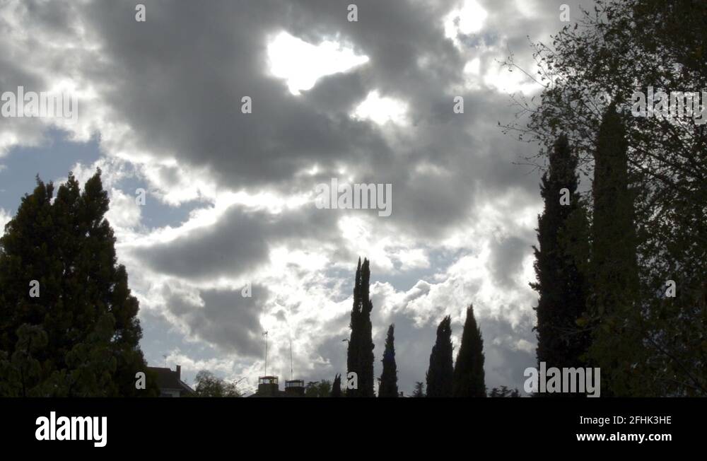 Dramatic tree silhouettes Stock Videos & Footage - HD and 4K Video ...