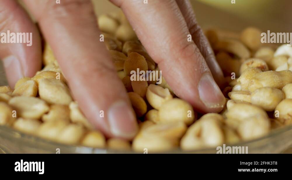 Two hands grabbing a handful of salted, roasted, peanuts in a bowl ...