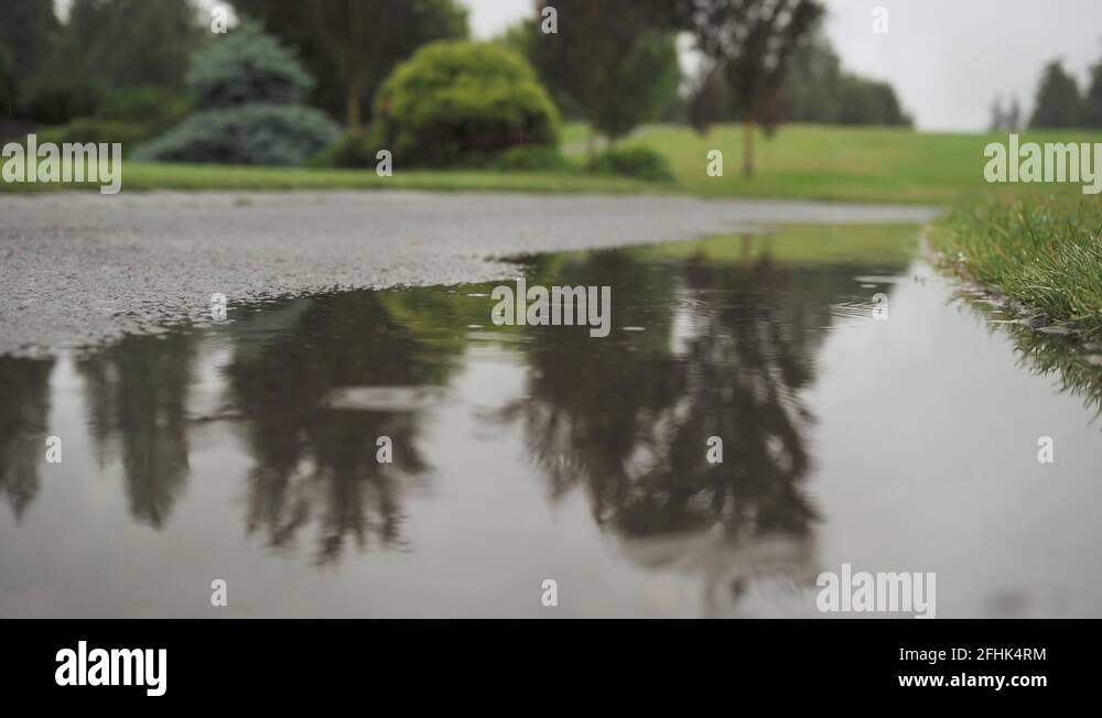 Golf putting rain Stock Videos & Footage - HD and 4K Video Clips - Alamy
