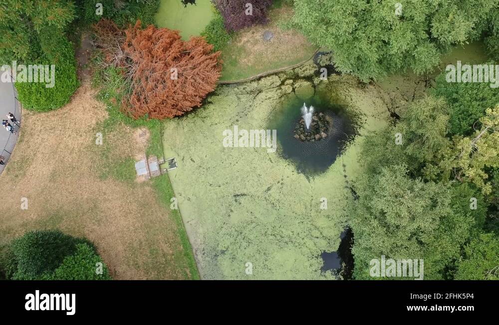 Sefton park Stock Videos & Footage - HD and 4K Video Clips - Alamy