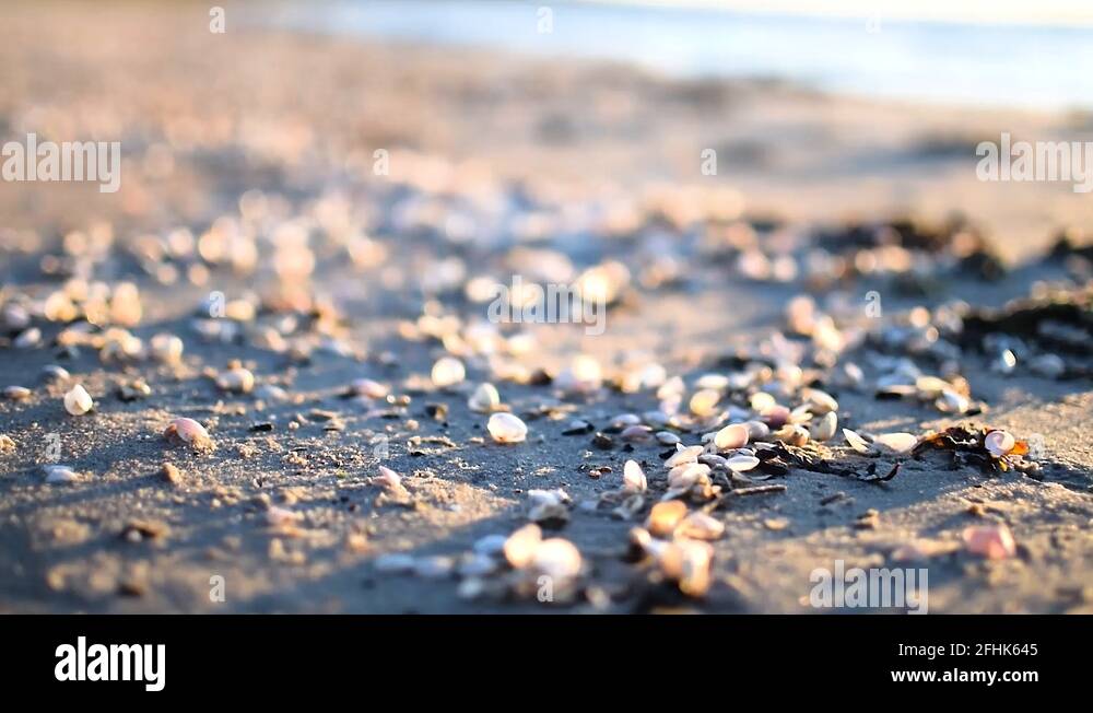Sea sand Stock Videos & Footage - HD and 4K Video Clips - Alamy