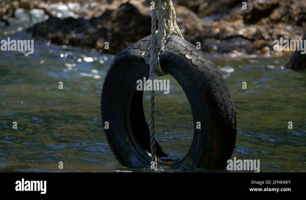 Recycled rubber tyre swing on rope hanging forgotten from tree in water ...