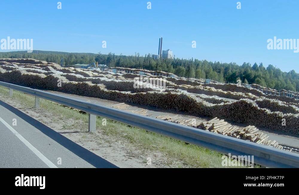 Log piles Stock Videos & Footage - HD and 4K Video Clips - Alamy