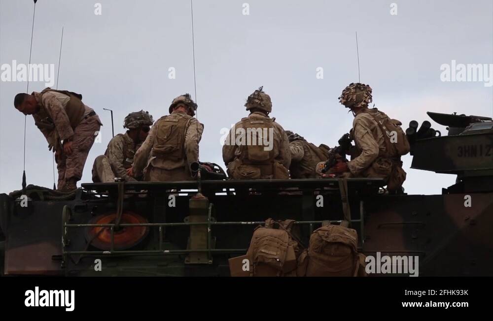 1st battalion 1st marine regiment Stock Videos & Footage - HD and 4K ...