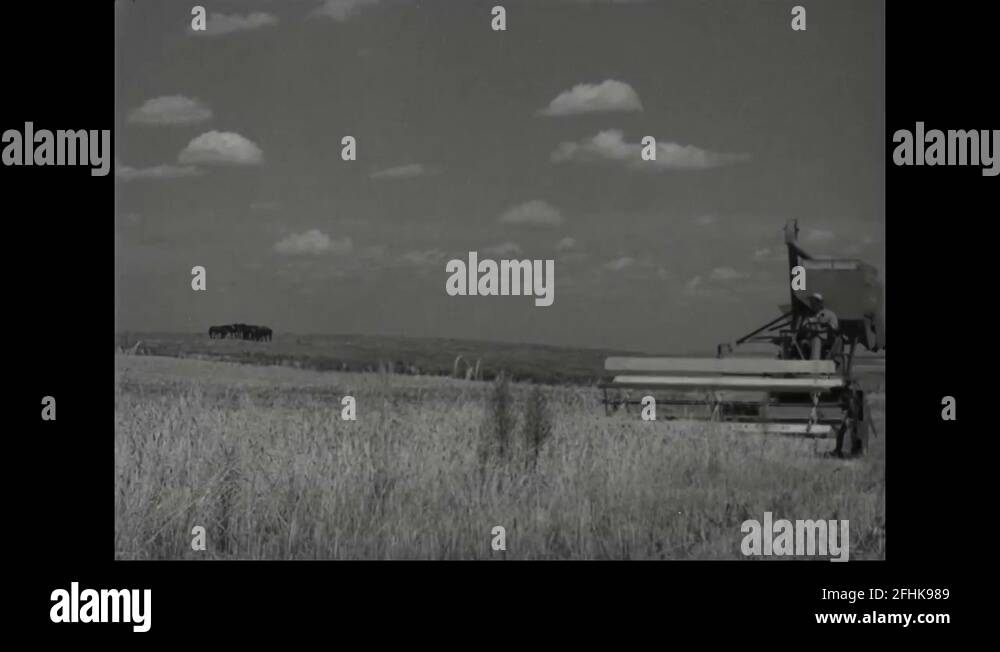 Hay rake Stock Videos & Footage - HD and 4K Video Clips - Alamy