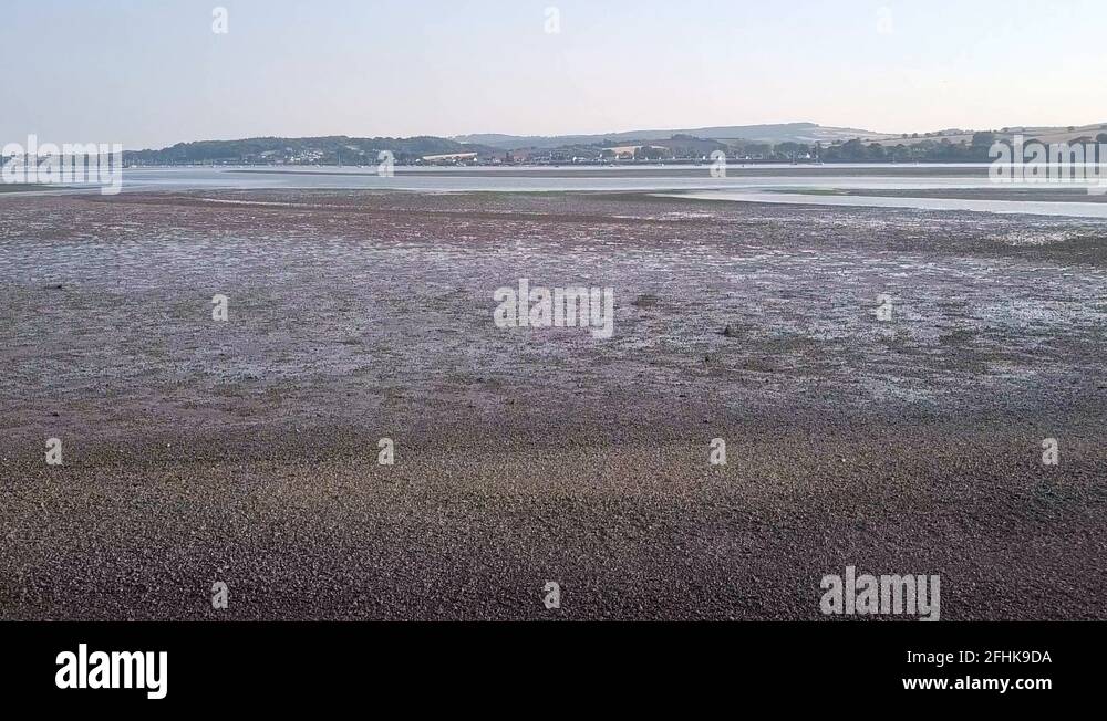 Water patches Stock Videos & Footage - HD and 4K Video Clips - Alamy