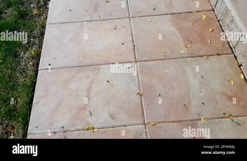 Brick path terrace Stock Videos & Footage - HD and 4K Video Clips - Alamy