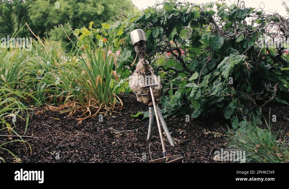 Little statue Stock Videos & Footage - HD and 4K Video Clips - Alamy