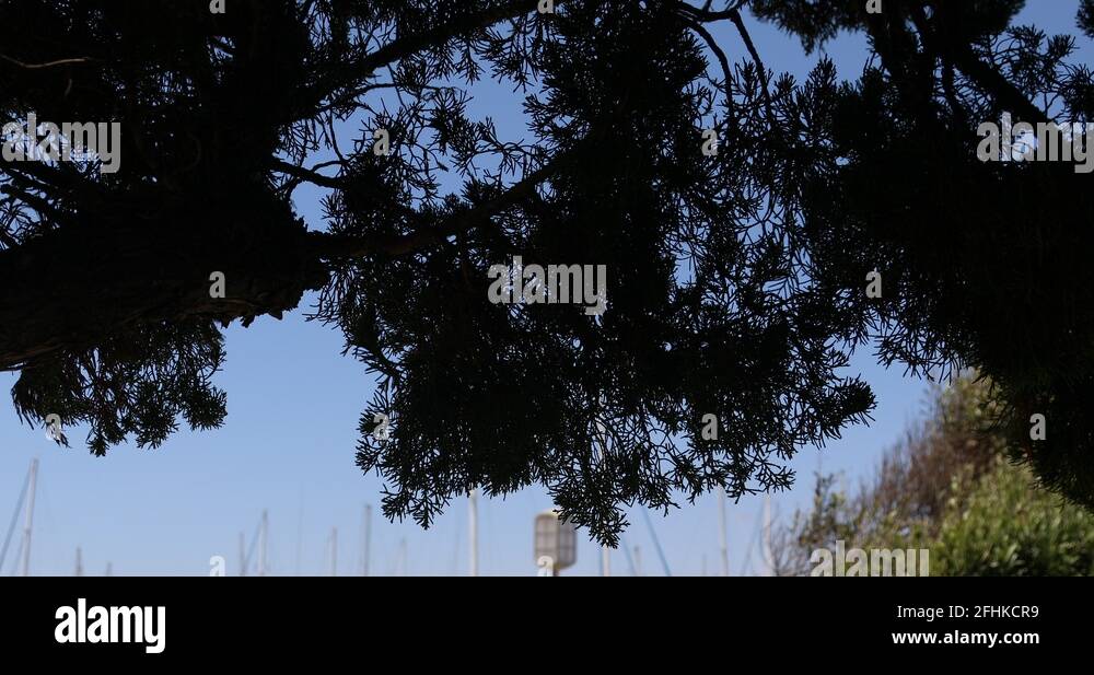 Mark lane Stock Videos & Footage - HD and 4K Video Clips - Alamy