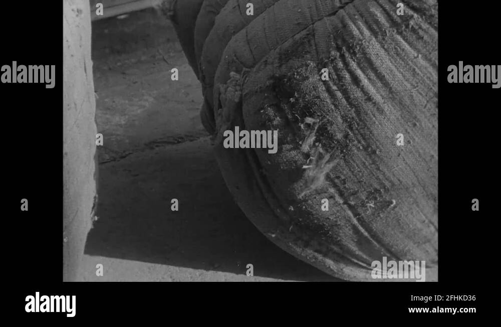 Wool history Stock Videos & Footage - HD and 4K Video Clips - Alamy