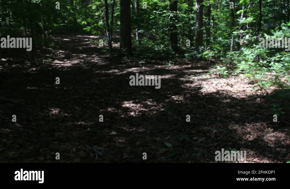 Frantically Stock Videos & Footage - HD and 4K Video Clips - Alamy